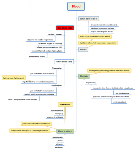 GCSE Biology Revision : Blood – Science Support for Teachers and Students